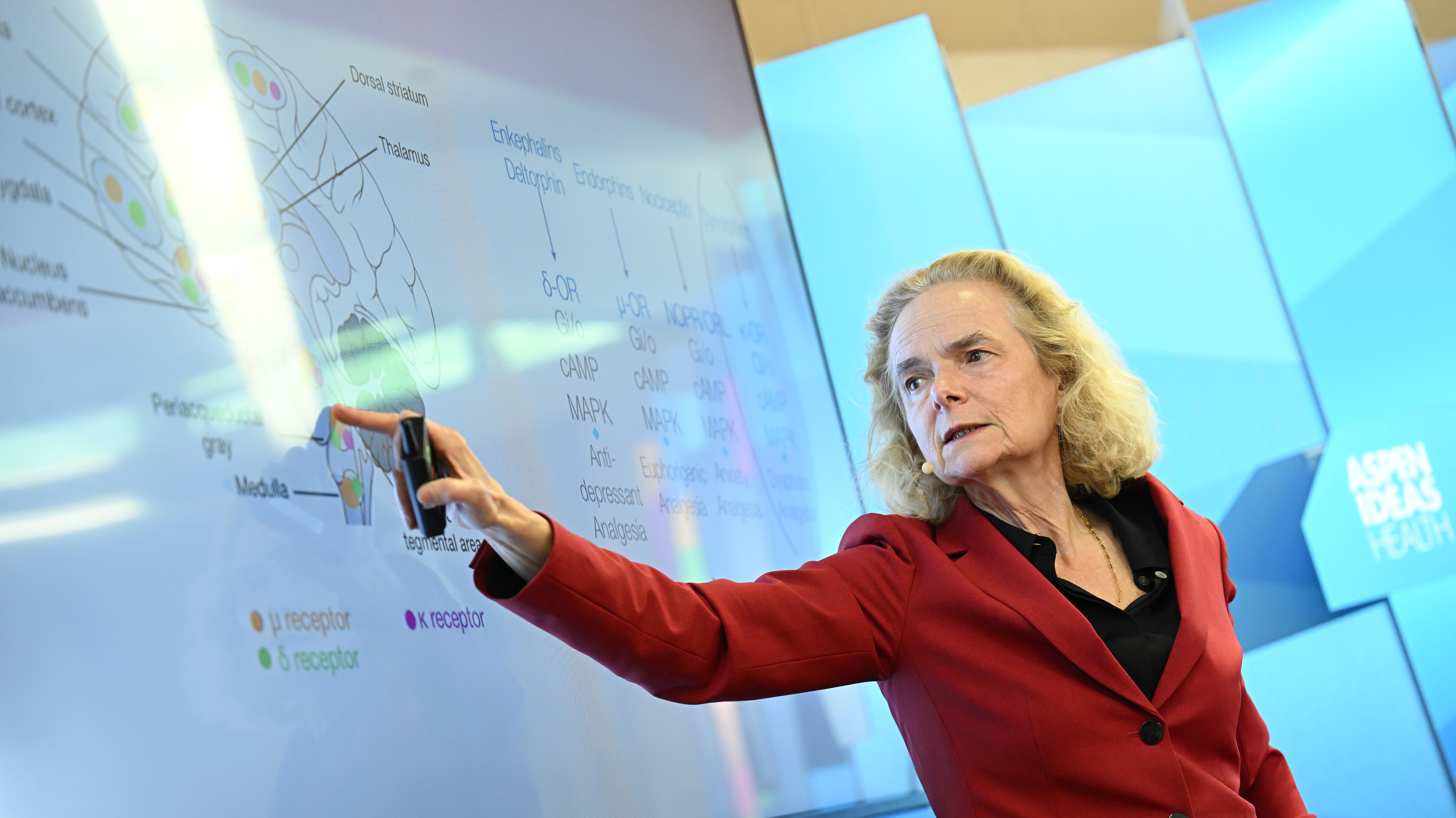 Explainer: Unlocking the Science of Pain | Aspen Ideas